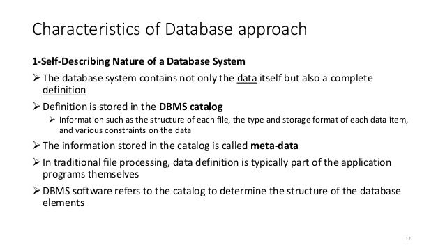 Fundamentals Of Database System Databases And Database Users 4005