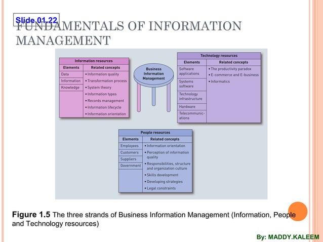 Introduction to Information Management Chapter 1 | PPT | Internet | Computing