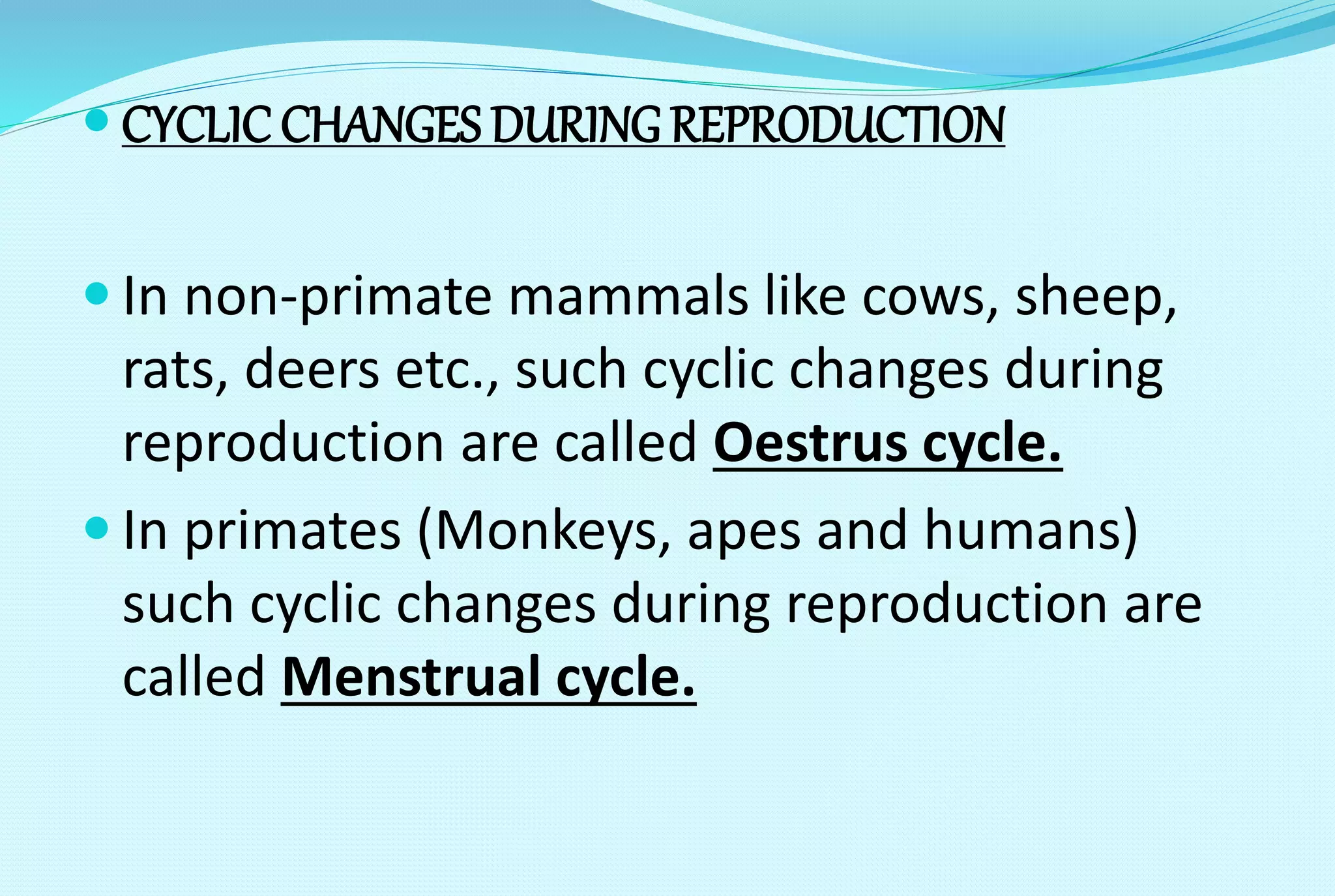 CLASS 12||Chapter 1|| Reproduction in Organisms. | PPTX