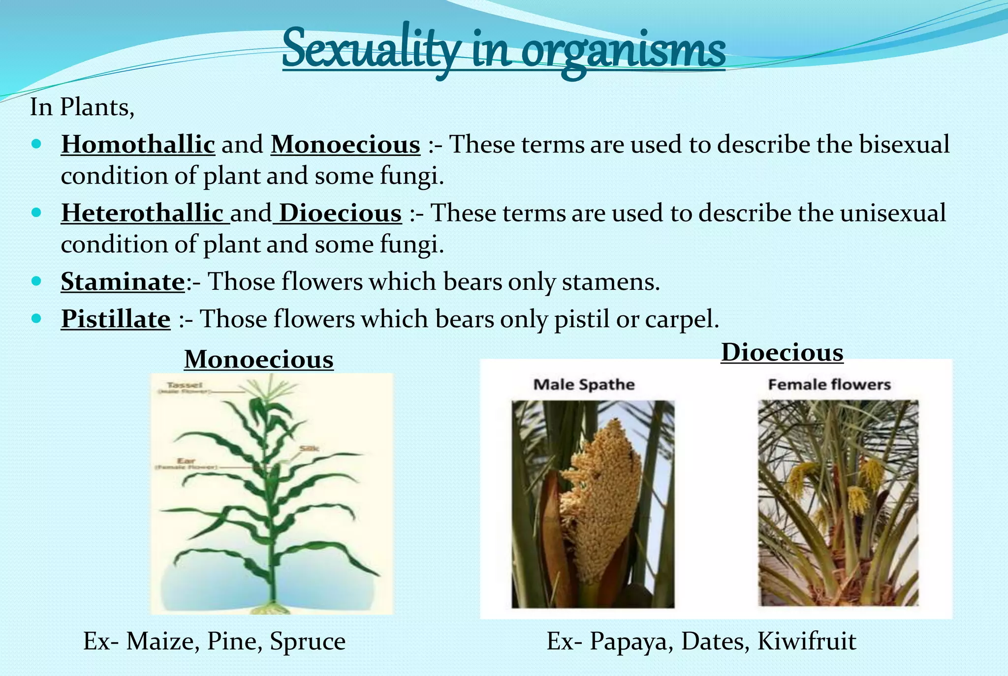CLASS 12||Chapter 1|| Reproduction in Organisms. | PPTX