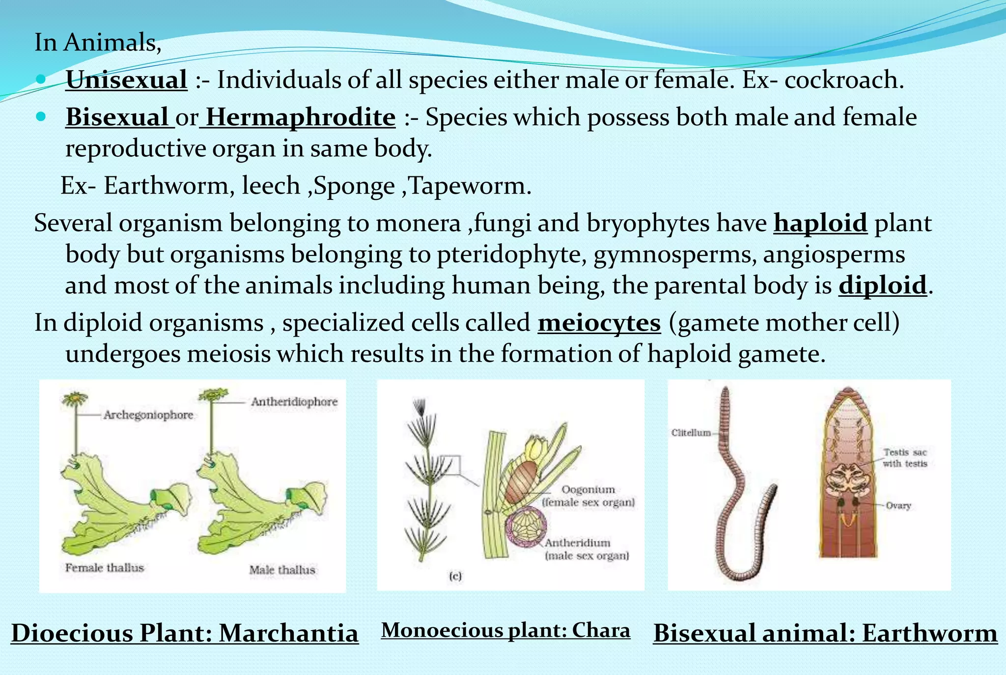CLASS 12||Chapter 1|| Reproduction in Organisms. | PPTX