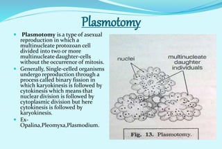 CLASS 12||Chapter 1|| Reproduction in Organisms. | PPTX