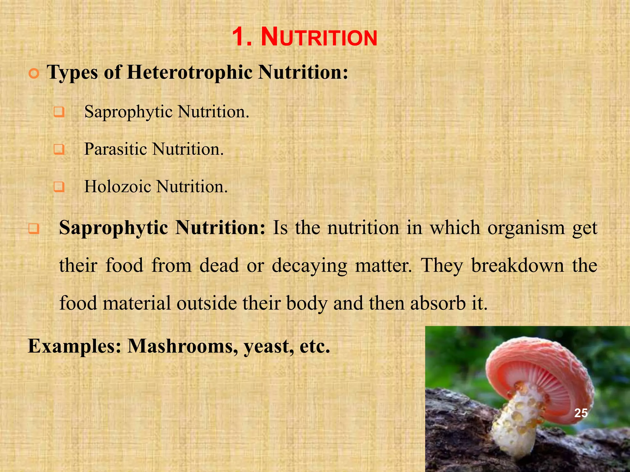 Chapter 1. Introduction to Human Body | PPTX
