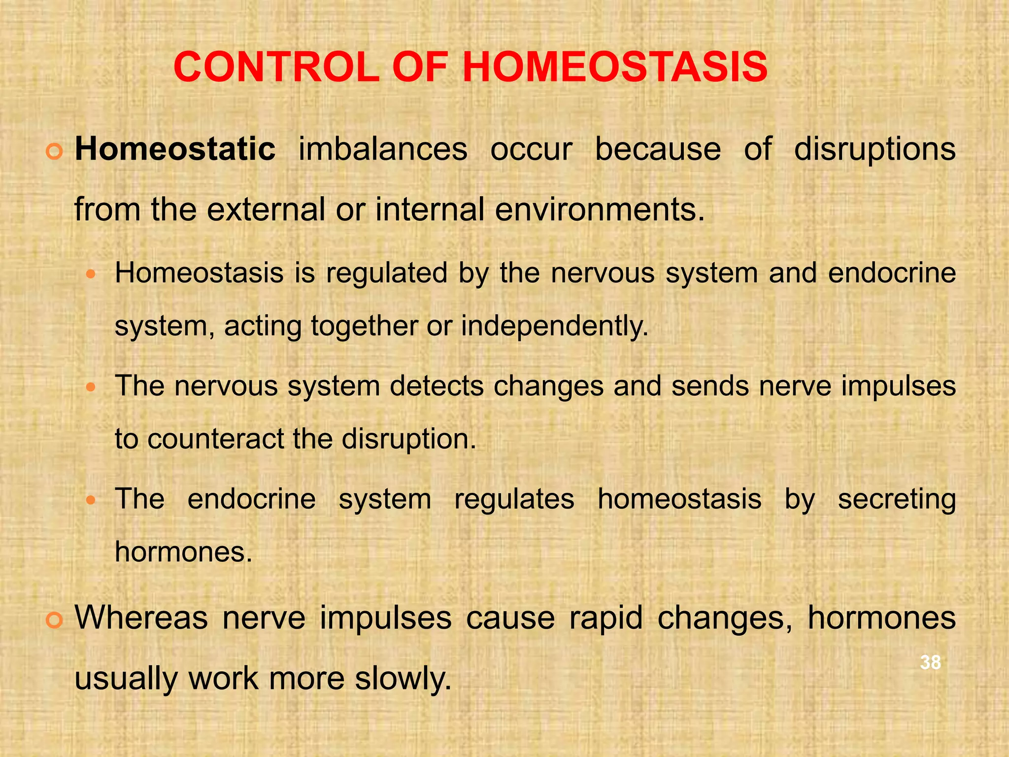 Chapter 1. Introduction to Human Body | PPTX