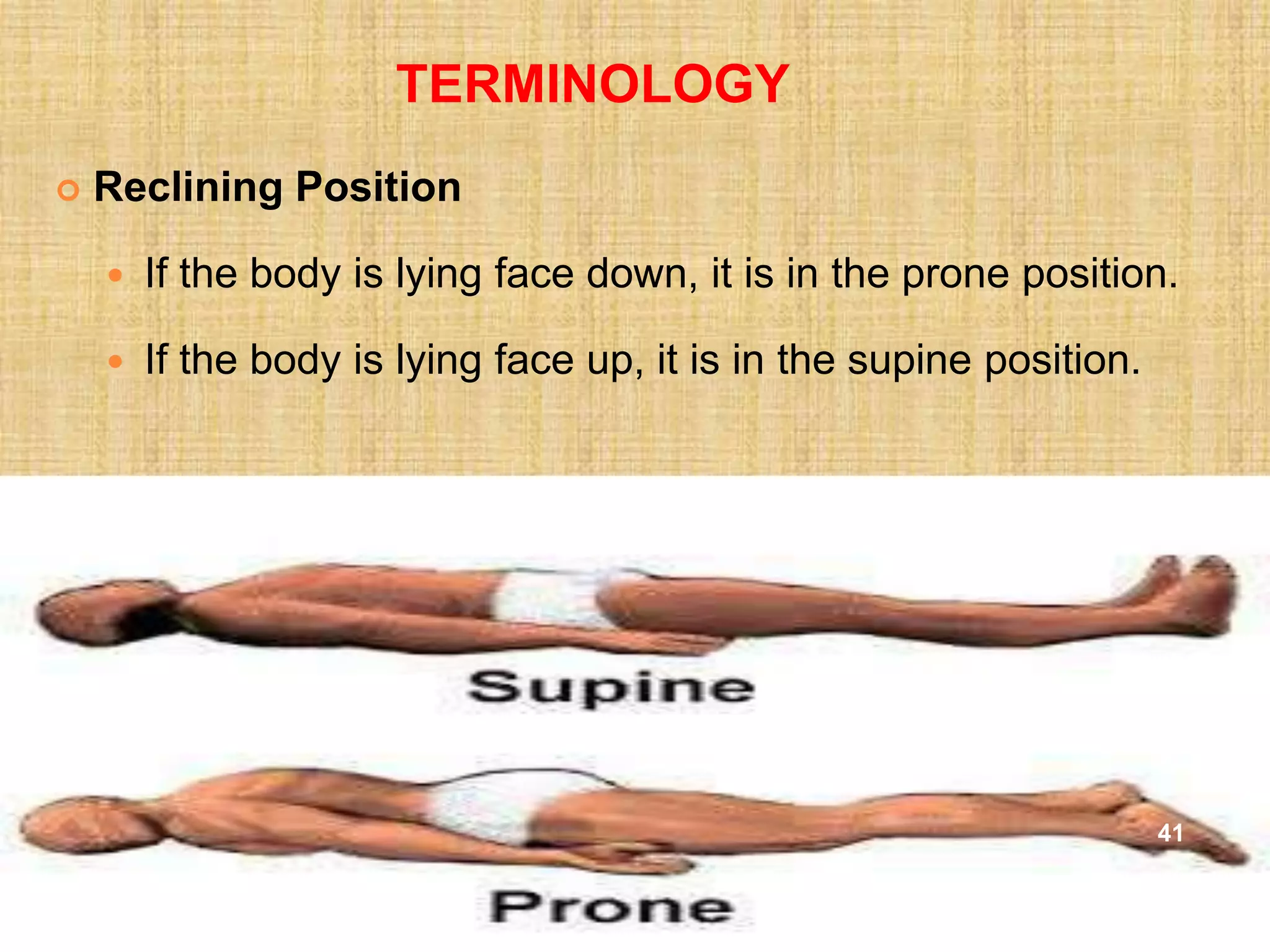 Chapter 1. Introduction to Human Body | PPTX