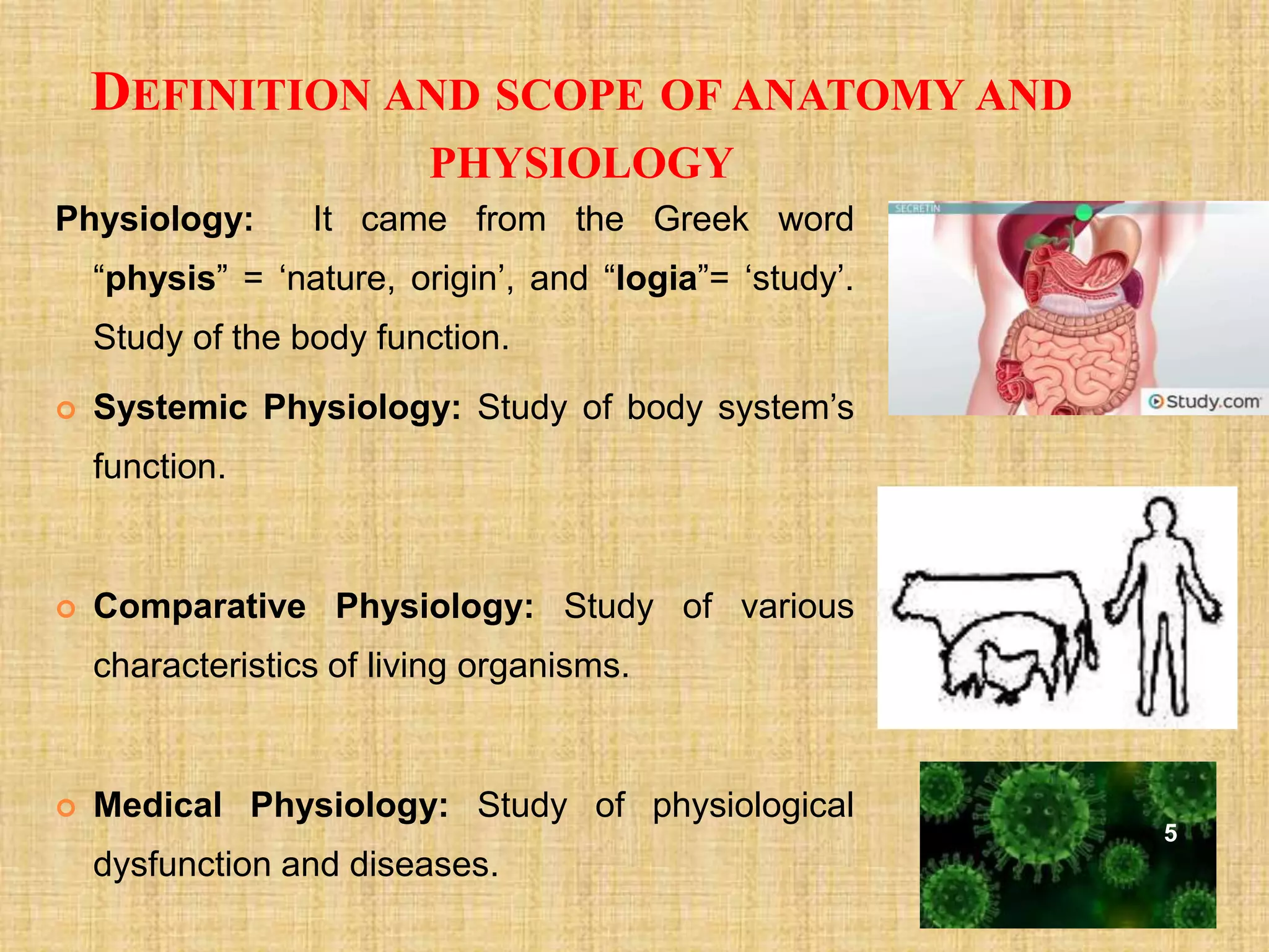 Chapter 1. Introduction to Human Body | PPTX