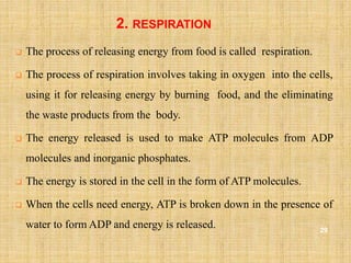 Chapter 1. Introduction to Human Body | PPTX