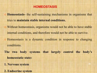 Chapter 1. Introduction to Human Body | PPTX