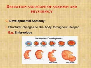 Chapter 1. Introduction to Human Body | PPTX
