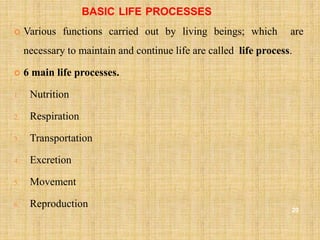 Chapter 1. Introduction to Human Body | PPT