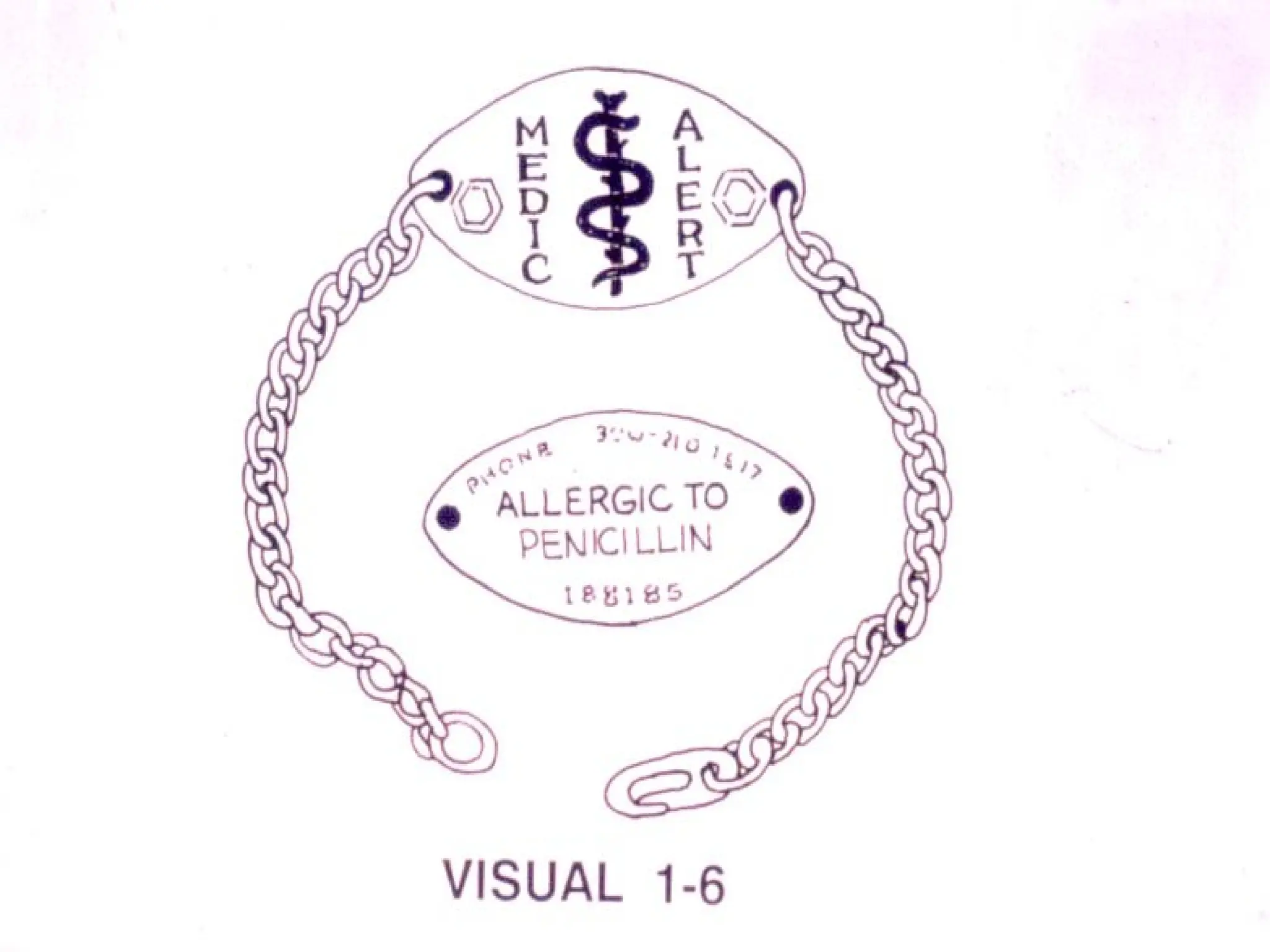 Basic First Aid (Organization and Companies) | PPT