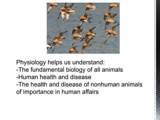 Chapter-1-Intro to Animal Physiology.pptx