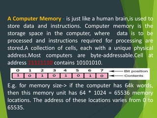 CBSE Informatics Practices Chapter-11 Basic Computer Organization | PPTX