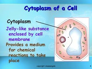 Brief overview of cell-structure for grade seven | PPT