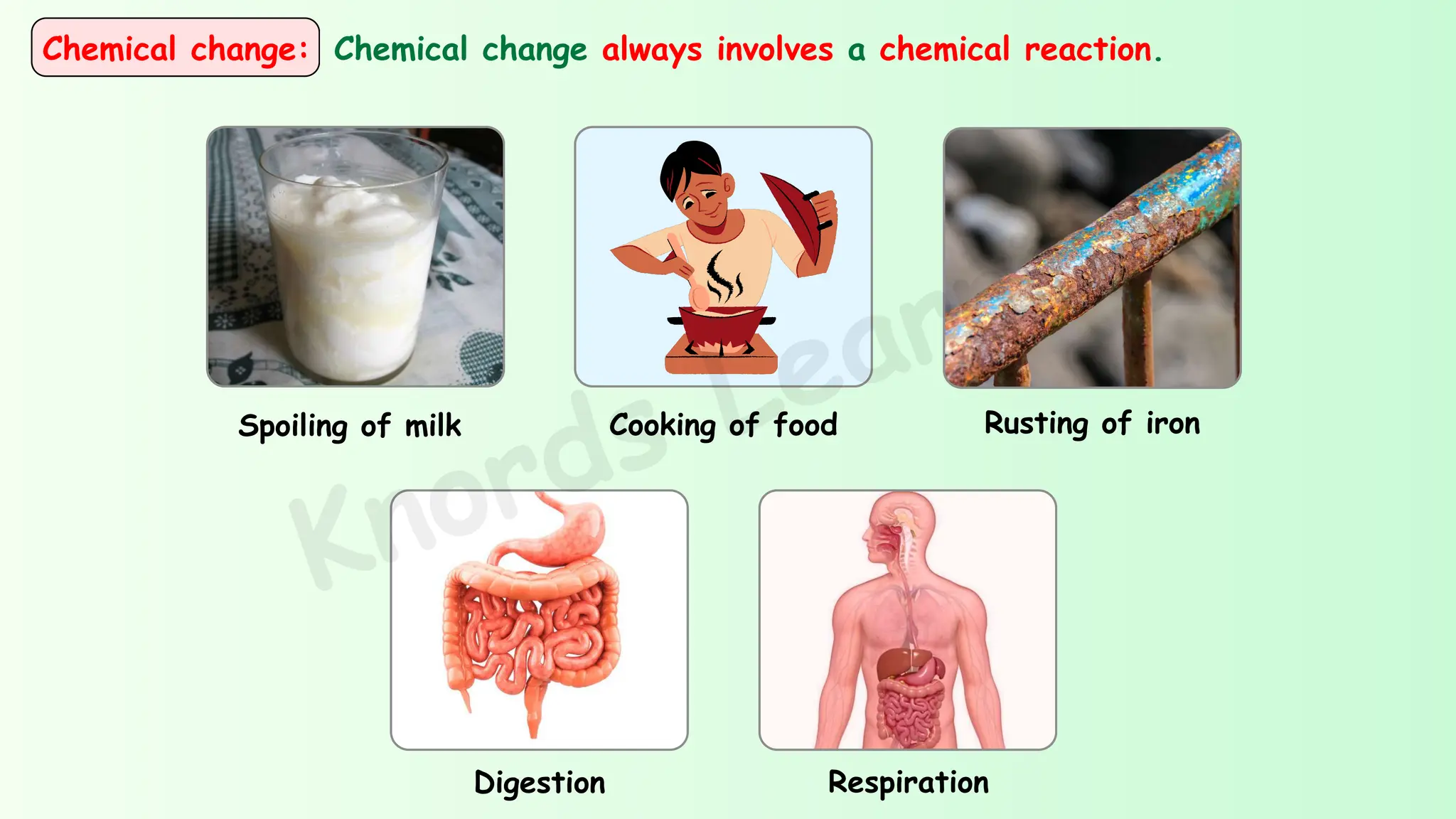 Chapter-1-Chemical-Reactions-and-Equations.pdf