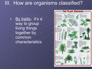 Chapter 1 Living Organisms | PPT