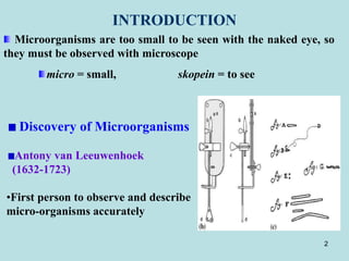 C | PPT | Photography | Arts and Crafts