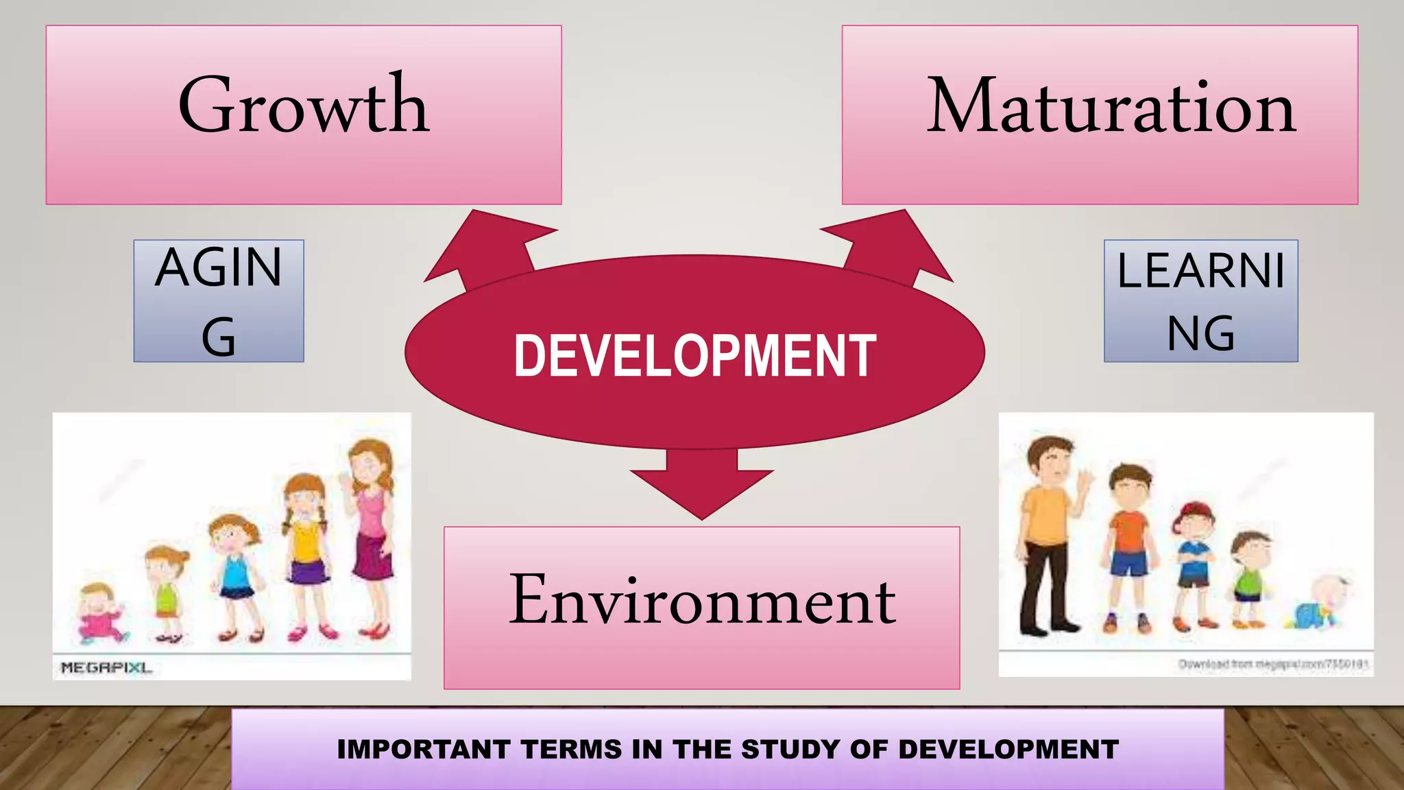 Chapter-1-Nature-and-principles-of-development.pptx