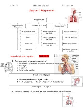 Chapter 1-respiration-doc1 | PDF | Lung and Respiratory Health ...