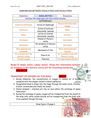 Chapter 1-respiration-doc1 | PDF | Lung and Respiratory Health ...