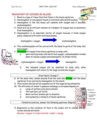 Chapter 1-respiration-doc1 | PDF | Lung and Respiratory Health ...