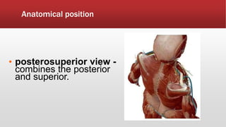 chapter-1-The-Human-body-An-Orientation.pptx