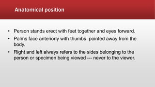 chapter-1-The-Human-body-An-Orientation.pptx