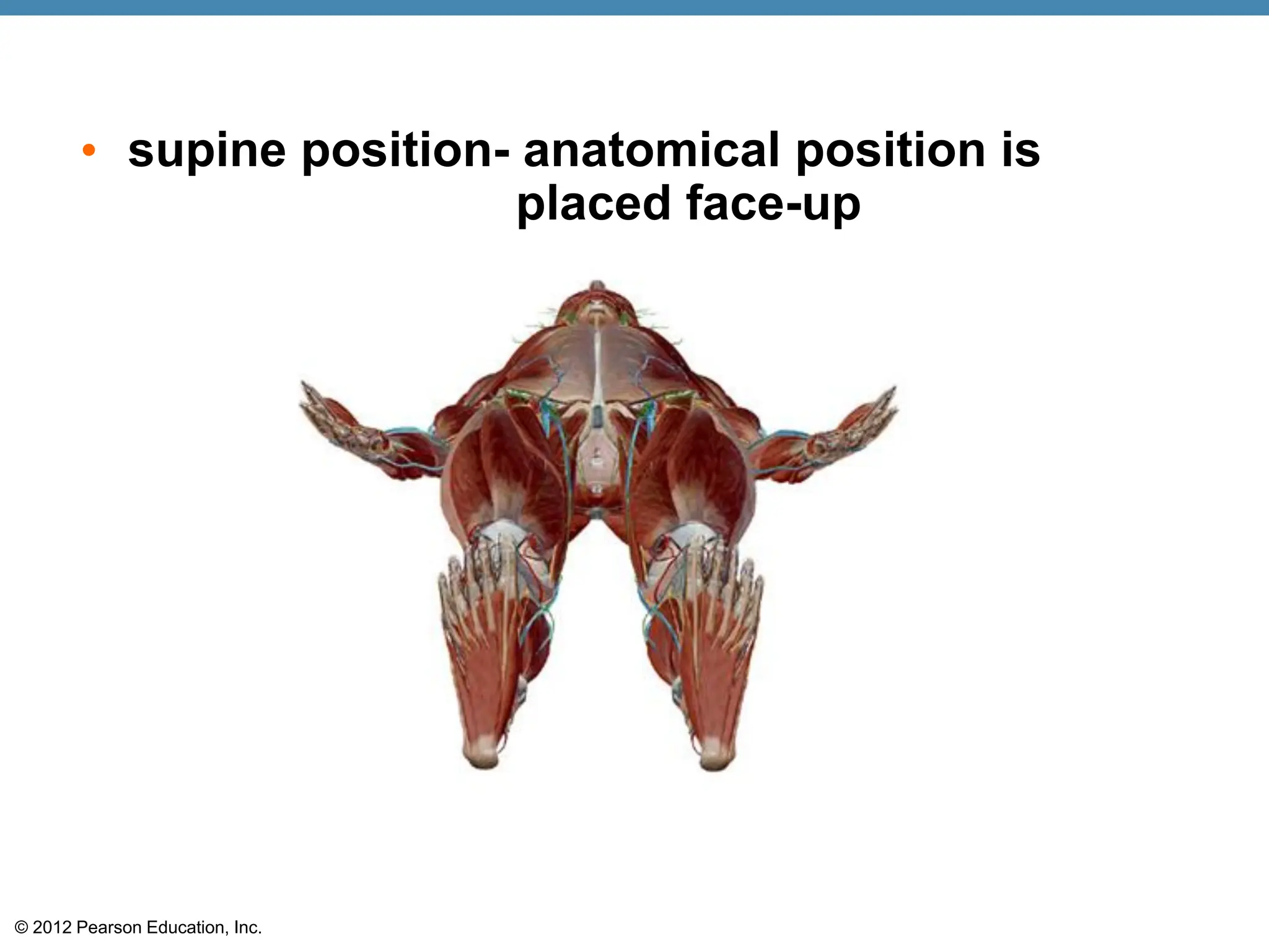 CHAPTER-1-The-Human-Body-An-Orientation.pdf