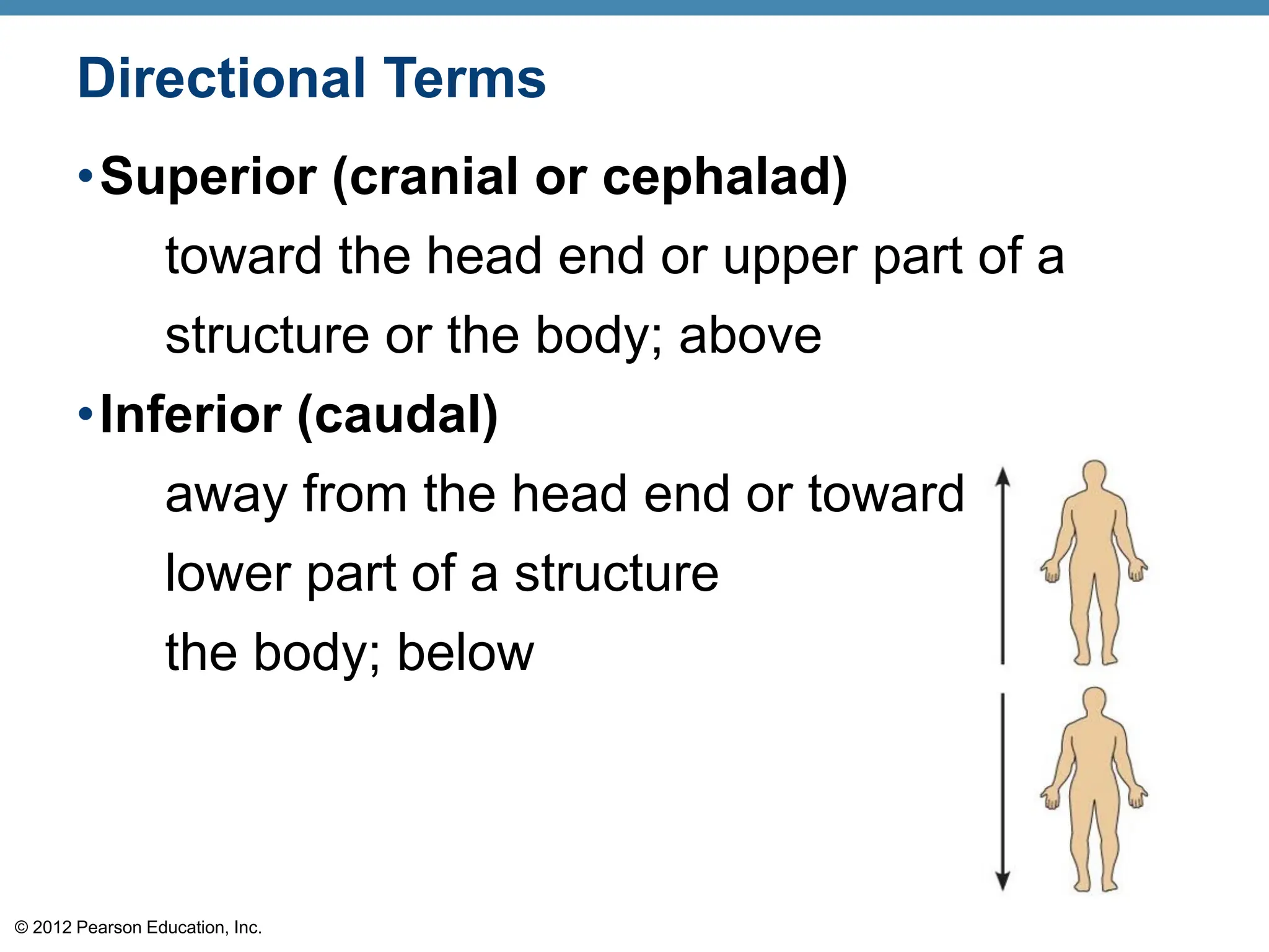 CHAPTER-1-The-Human-Body-An-Orientation.pdf