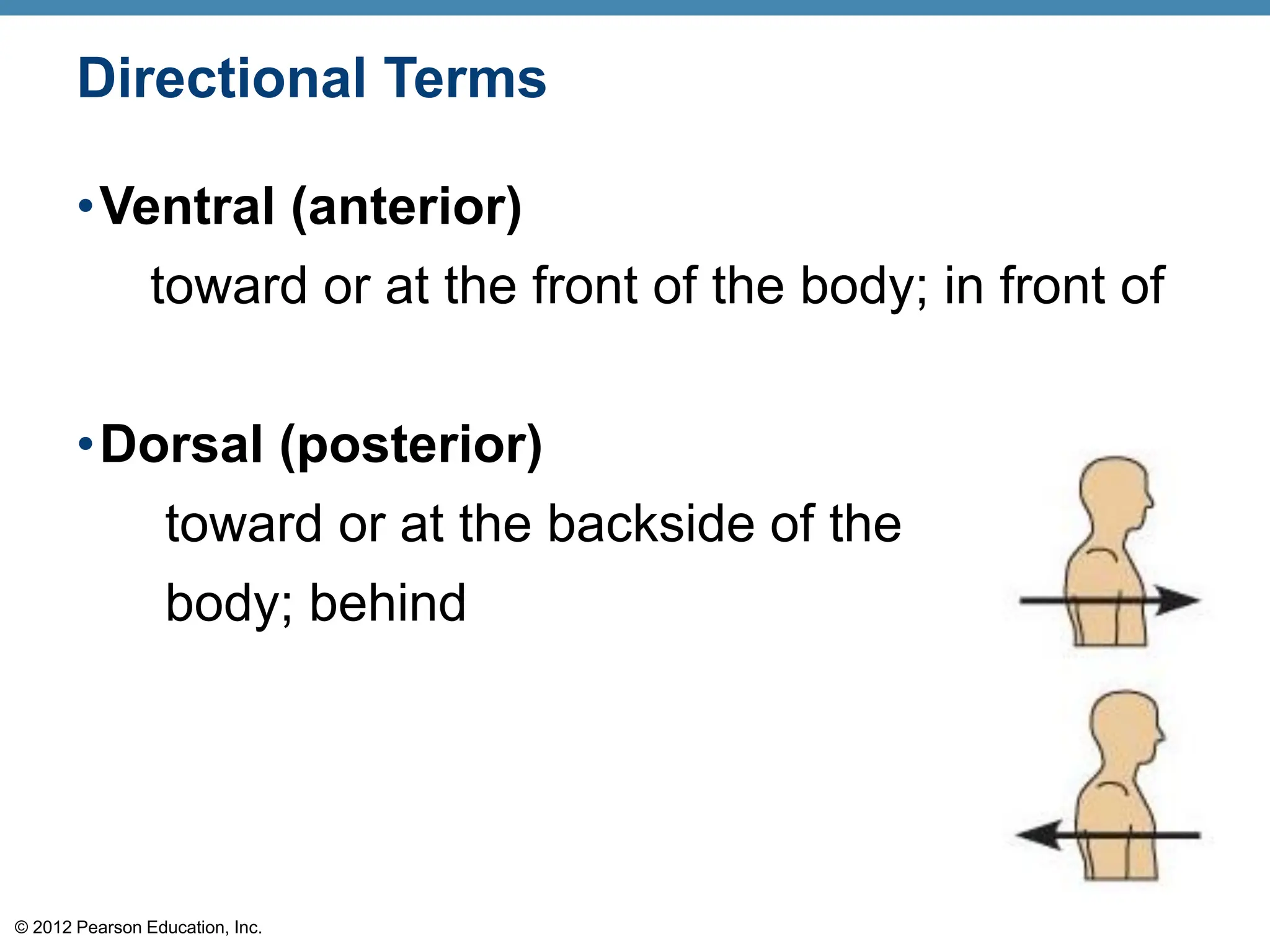 CHAPTER-1-The-Human-Body-An-Orientation.pdf