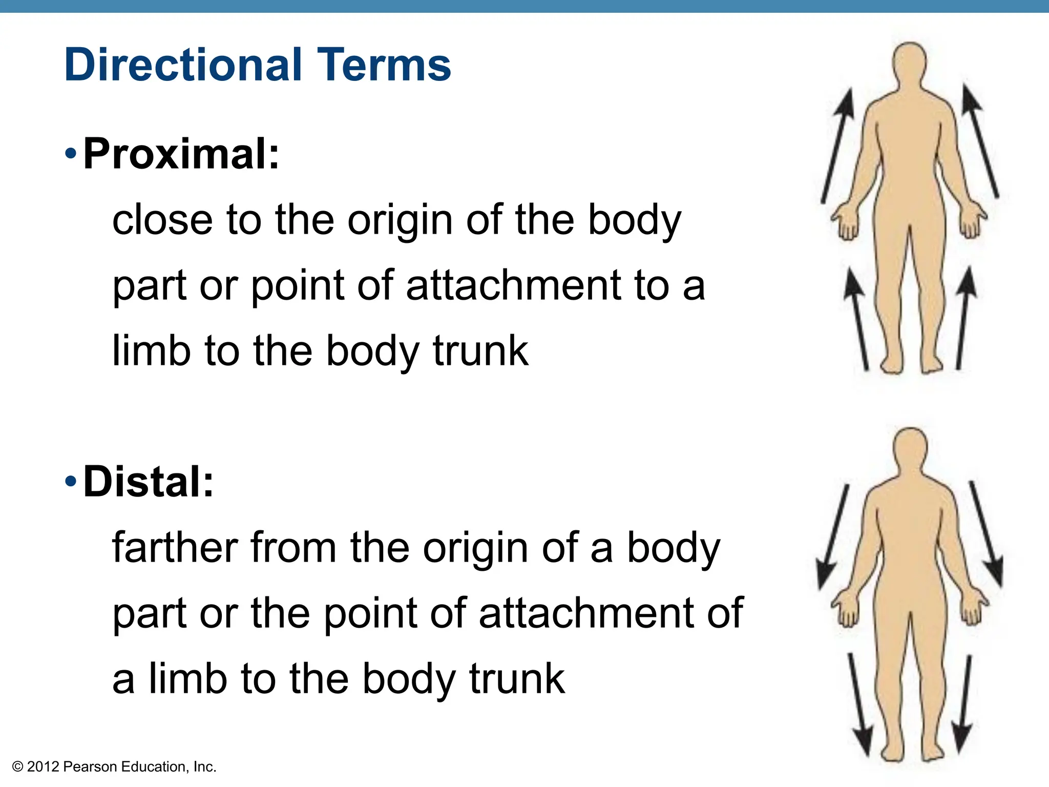 CHAPTER-1-The-Human-Body-An-Orientation.pdf