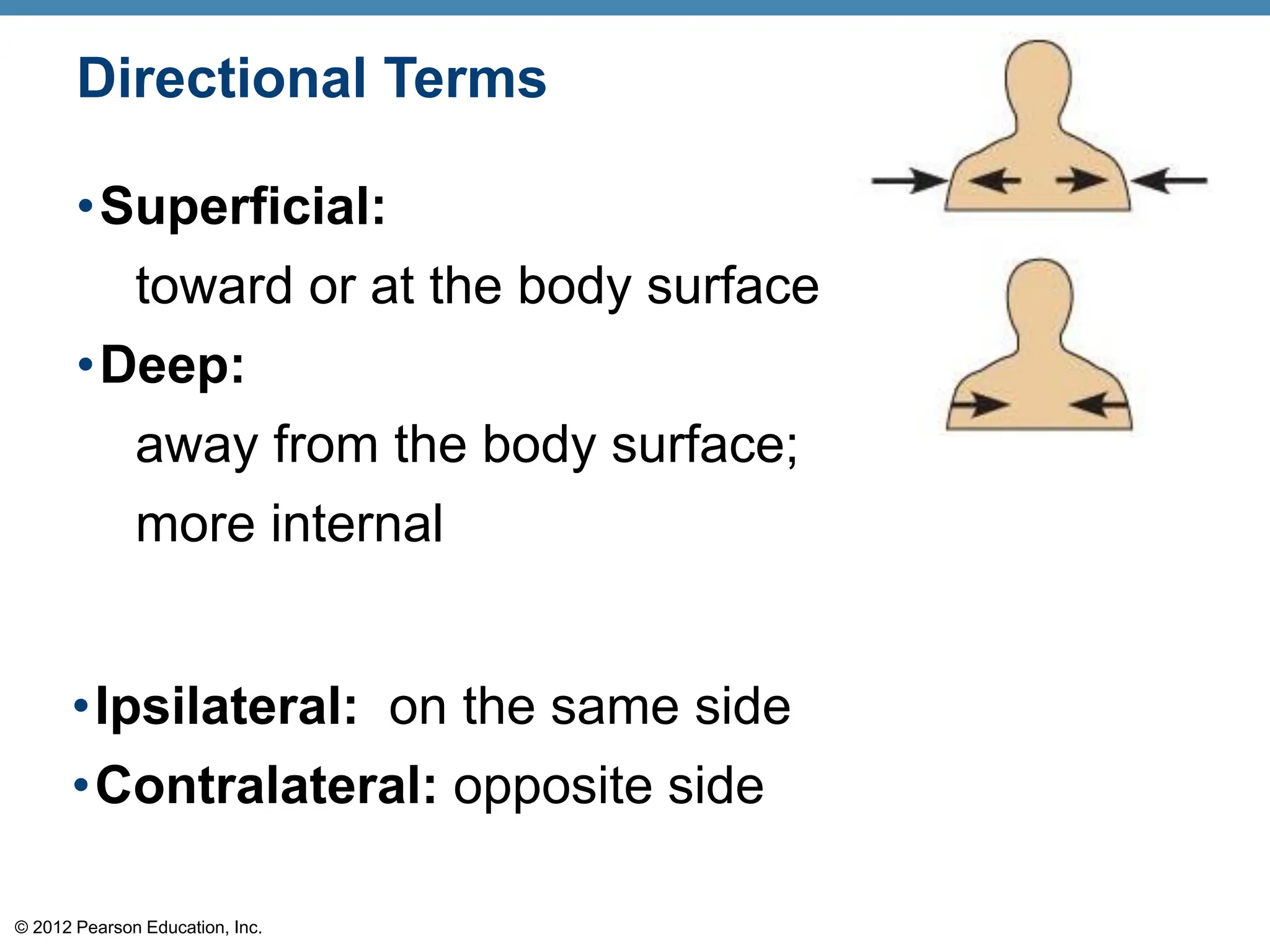 CHAPTER-1-The-Human-Body-An-Orientation.pdf