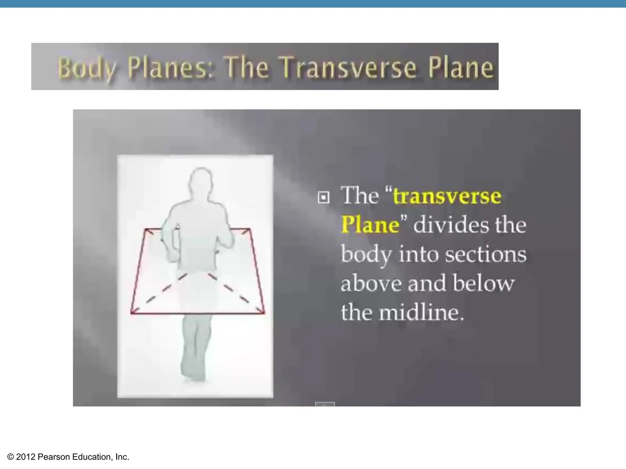 CHAPTER-1-The-Human-Body-An-Orientation.pdf