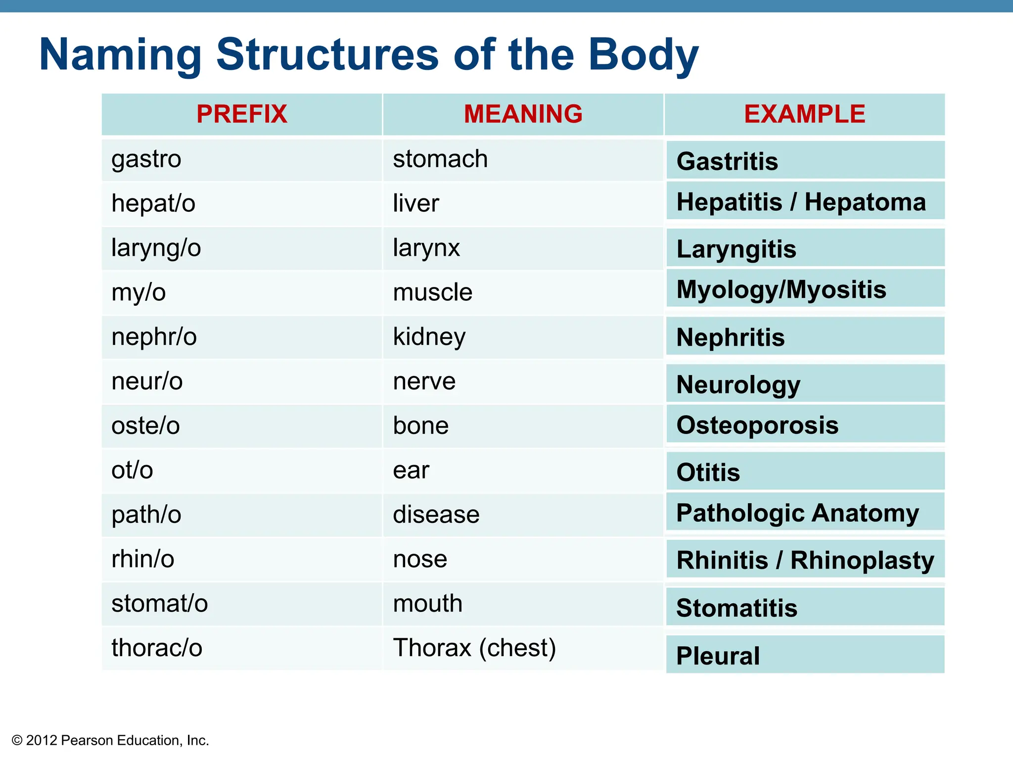 CHAPTER-1-The-Human-Body-An-Orientation.pdf