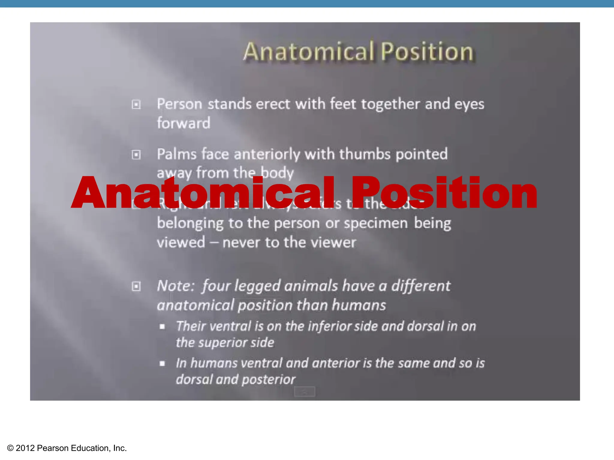 CHAPTER-1-The-Human-Body-An-Orientation.pdf