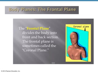 CHAPTER-1-The-Human-Body-An-Orientation.pdf