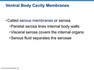 CHAPTER-1-The-Human-Body-An-Orientation.pdf