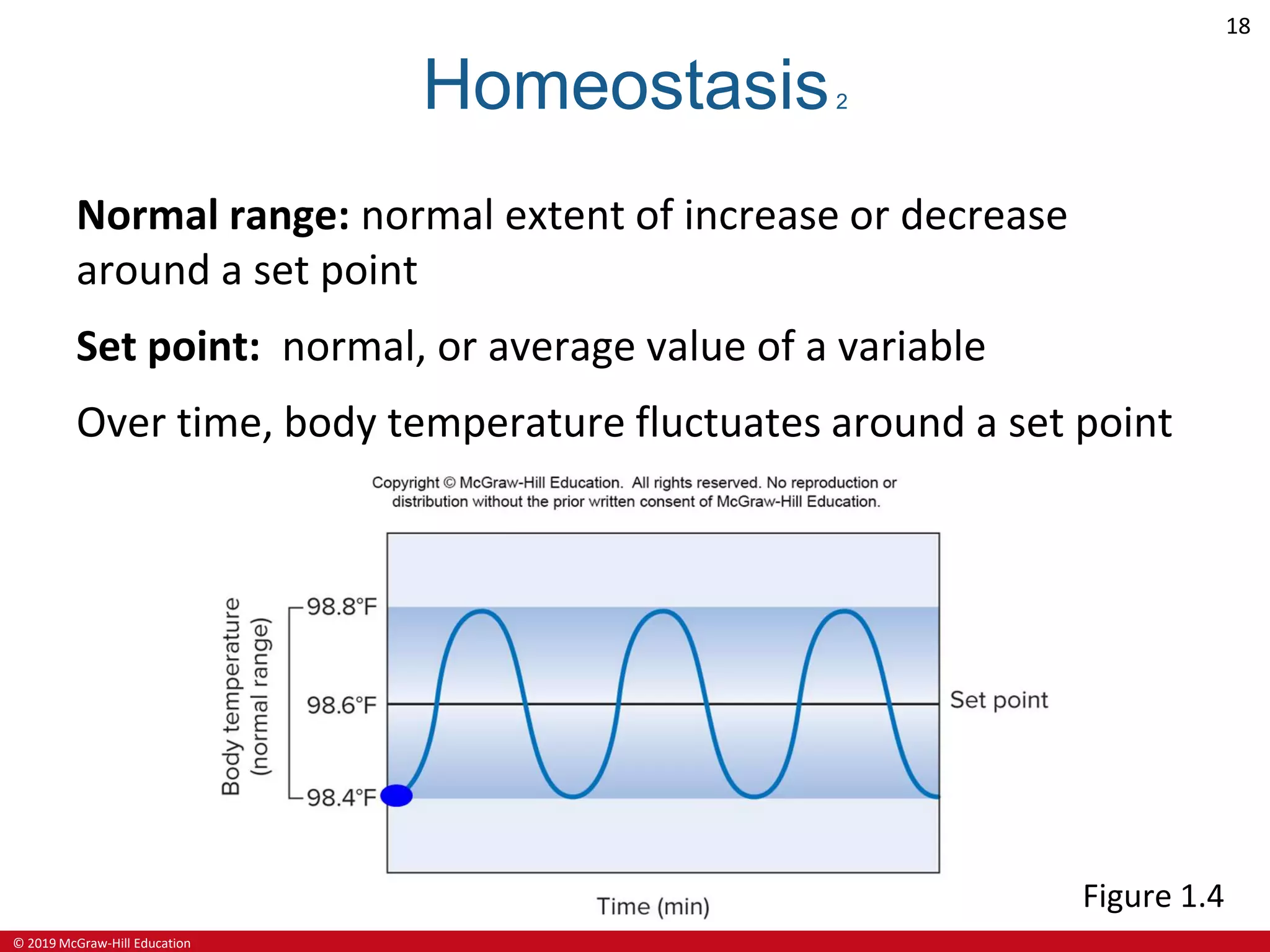 Chapter-1-The-Human-Organism-Lecture-Online.pdf