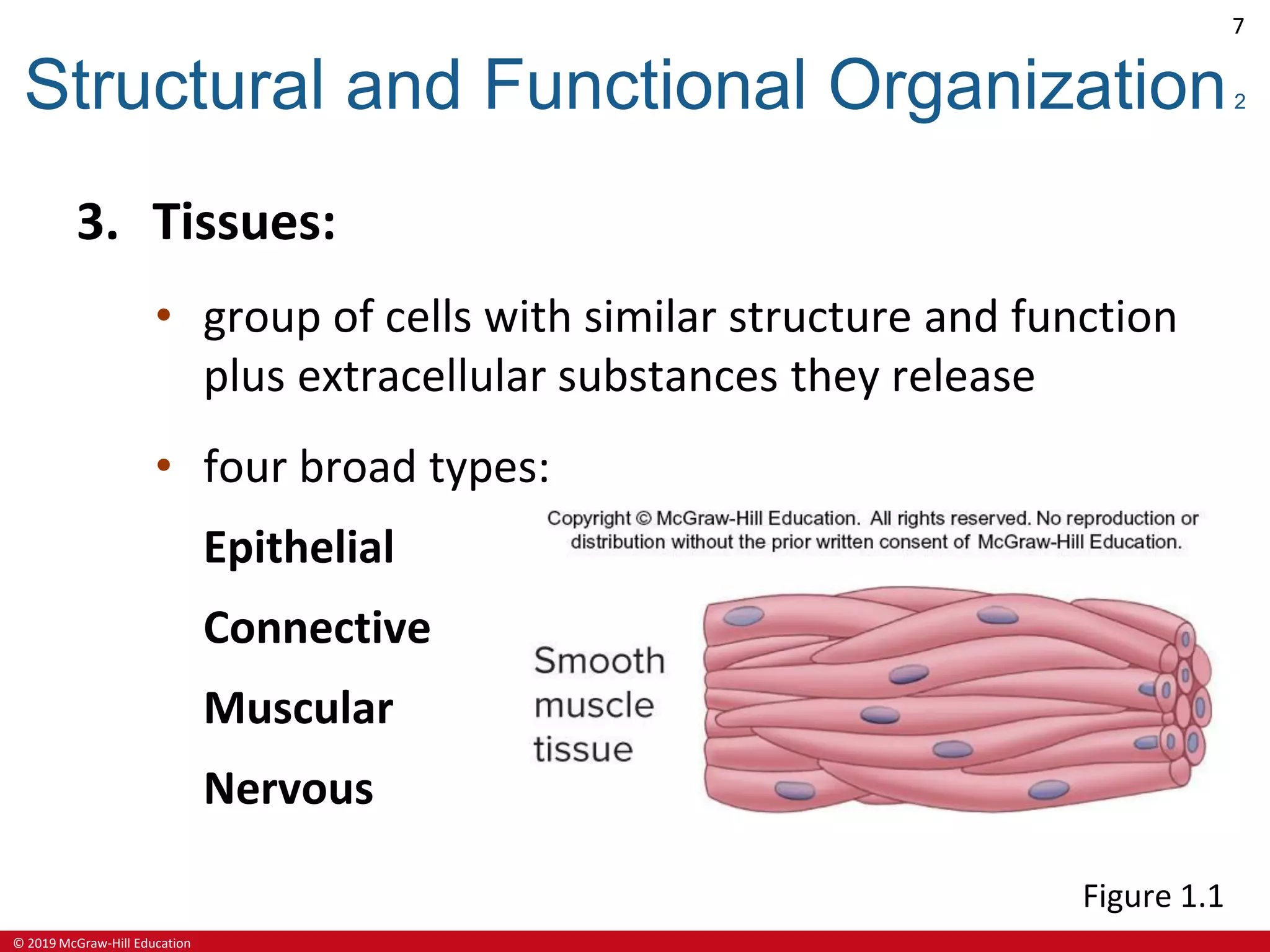 Chapter-1-The-Human-Organism-Lecture-Online.pdf