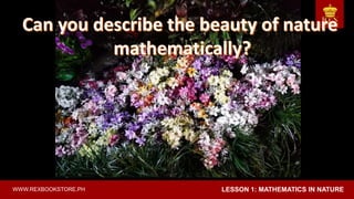 Chapter-1-The-Nature-of-Mathematics_Lesson-1-Nature-of-Mathematics.pptx