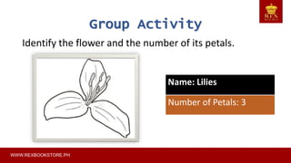 Chapter-1-The-Nature-of-Mathematics_Lesson-1-Nature-of-Mathematics.pptx ...