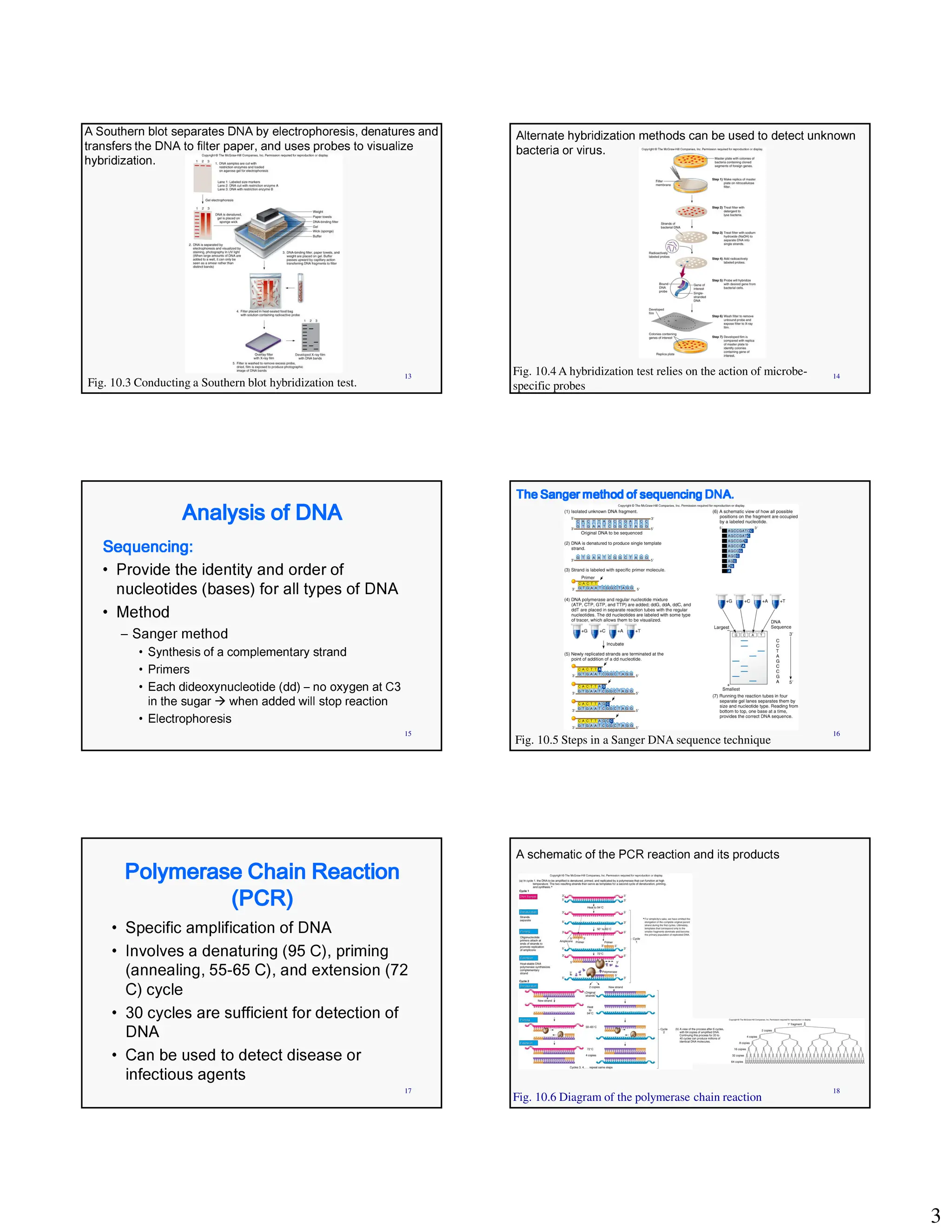 Enzymes and proteins used in DNA replication | PDF