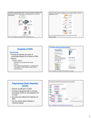 Enzymes and proteins used in DNA replication | PDF