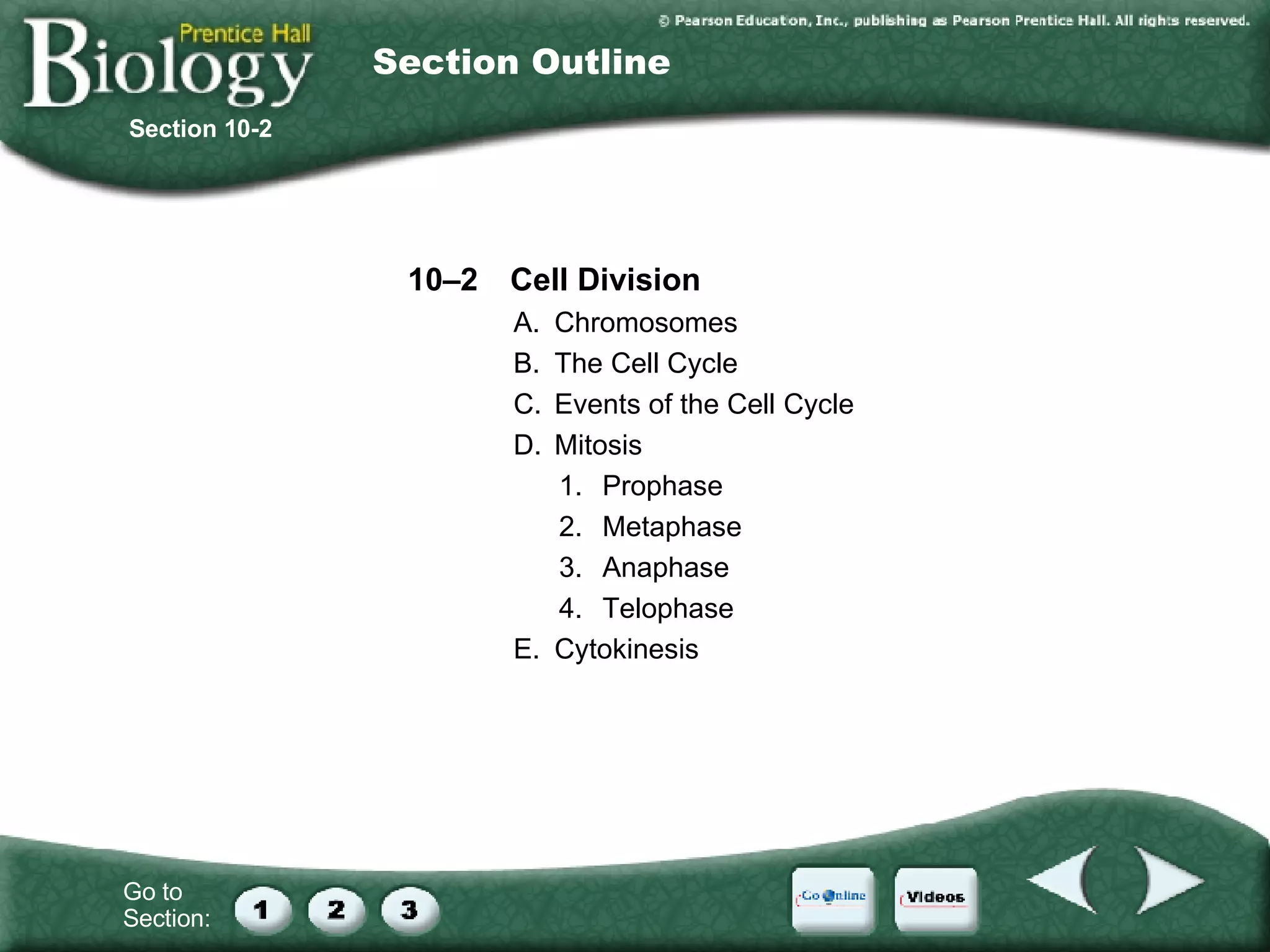 Chapter 10: Cell Cycle | PPT