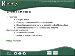 Chapter 10: Cell Cycle | PPT