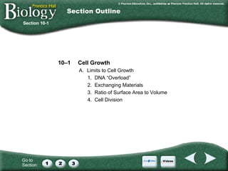 Chapter 10: Cell Cycle | PPT