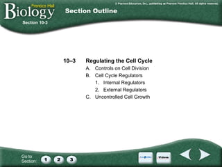Chapter 10: Cell Cycle | PPT