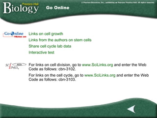 Chapter 10: Cell Cycle | PPT