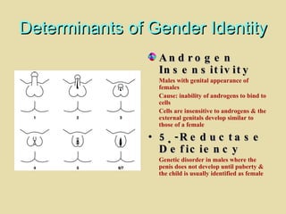 Chapter 11: Reproductive Behaviors | PPT