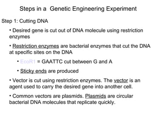 Chapter 11 Biotechnology | PPT